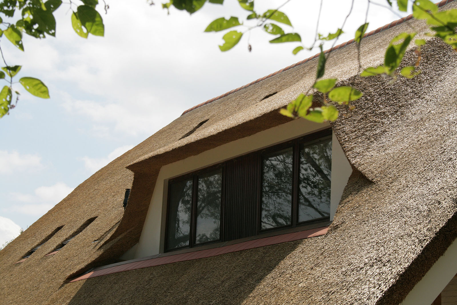 Rietdekken | Onderhoud & soorten riet | Rietdekkersbedrijf Kleinjan